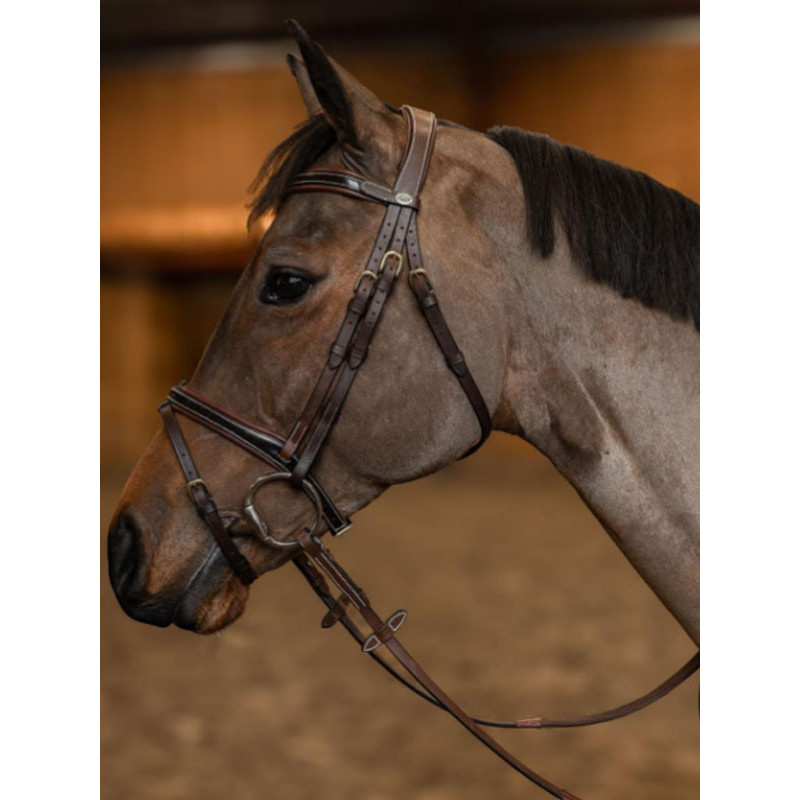 Bridon Painted HFI - Equipement cheval