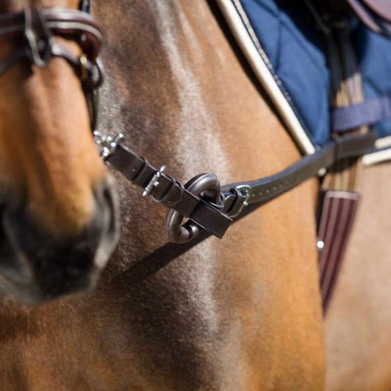 Rênes fixes élastiques Ring Reins HFI