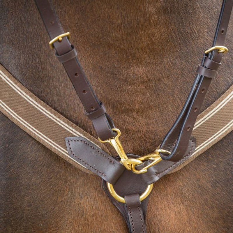 Collier de chasse élastique HFI