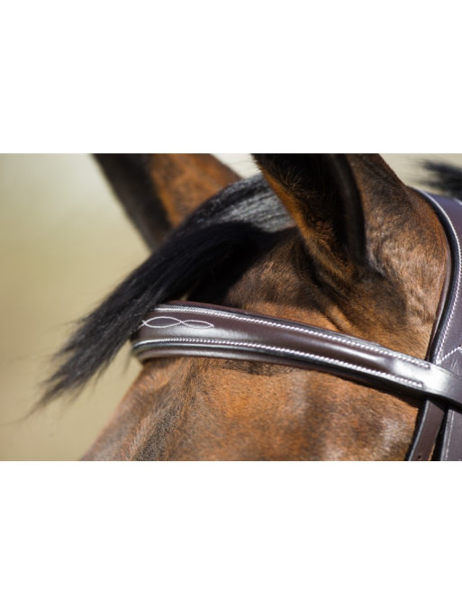 Bridon en cuir Elégant HFI