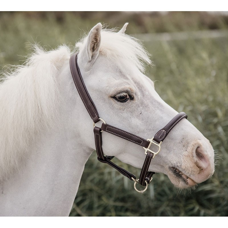 Licol cuir et mouton Kentucky Poney / Shetland