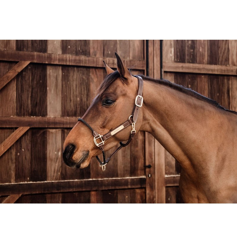 Licol en cuir Rope Kentucky