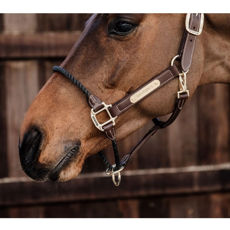 Licol en cuir Rope Kentucky