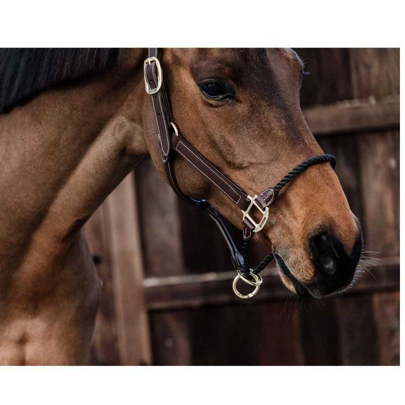 Licol en cuir Rope Kentucky