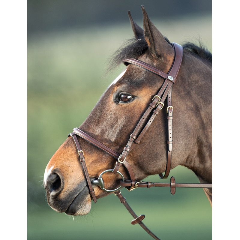 Bridon Regular HFI - équipement cheval