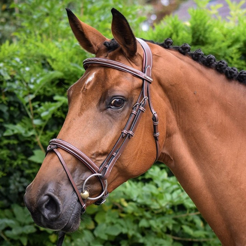 Bridon Paris Collection One Jump'In - Briderie cheval