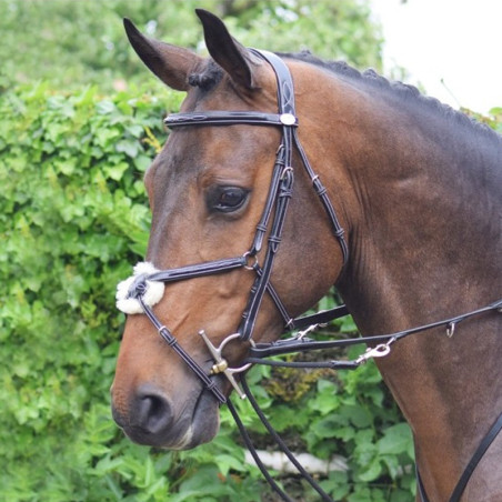 Enrênement Howlett Collection Week Jump'In - Enrênement cheval