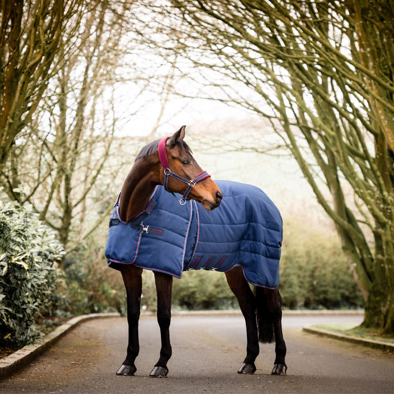 Couverture d'écurie Rambo Optimo Stable Rug 200g Horseware