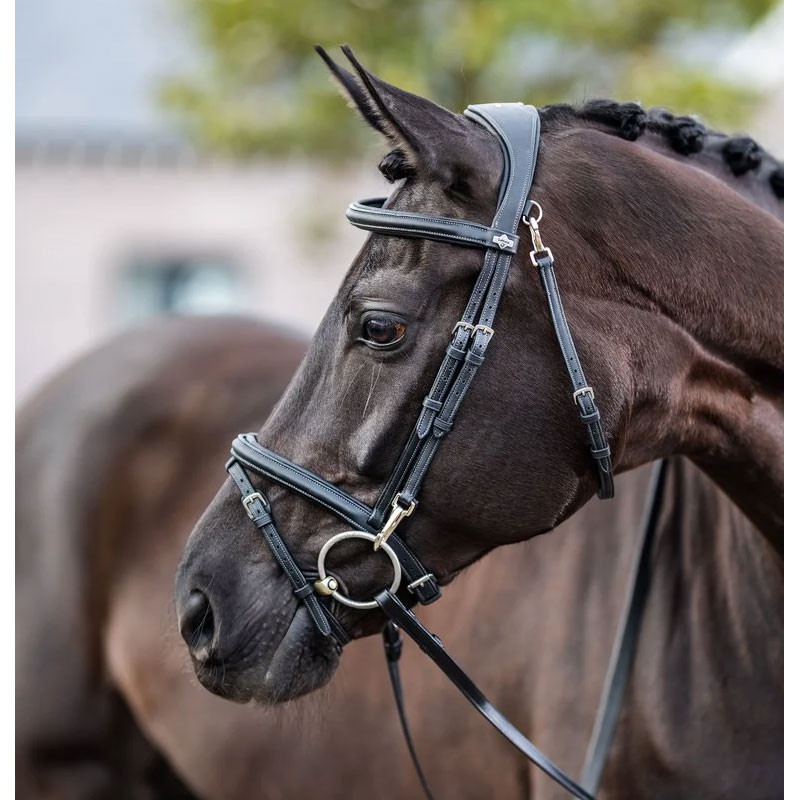 Bridon Work LeMieux - bridon de travail