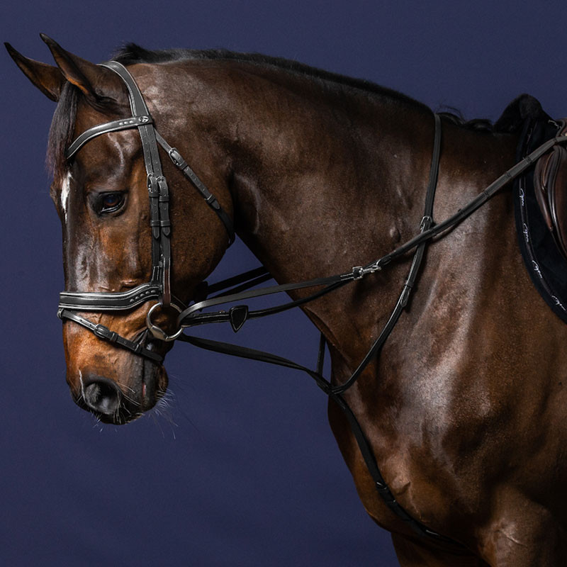 Enrênement Howlett Working by Dy'on - Enrênement cheval