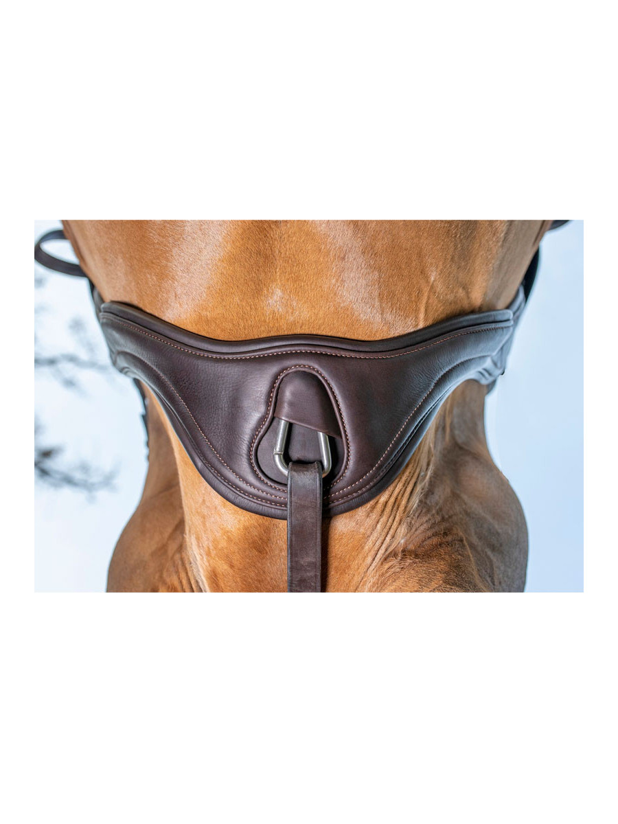 Sangle anatomique Gel-Tek LeMieux - Equipement cheval