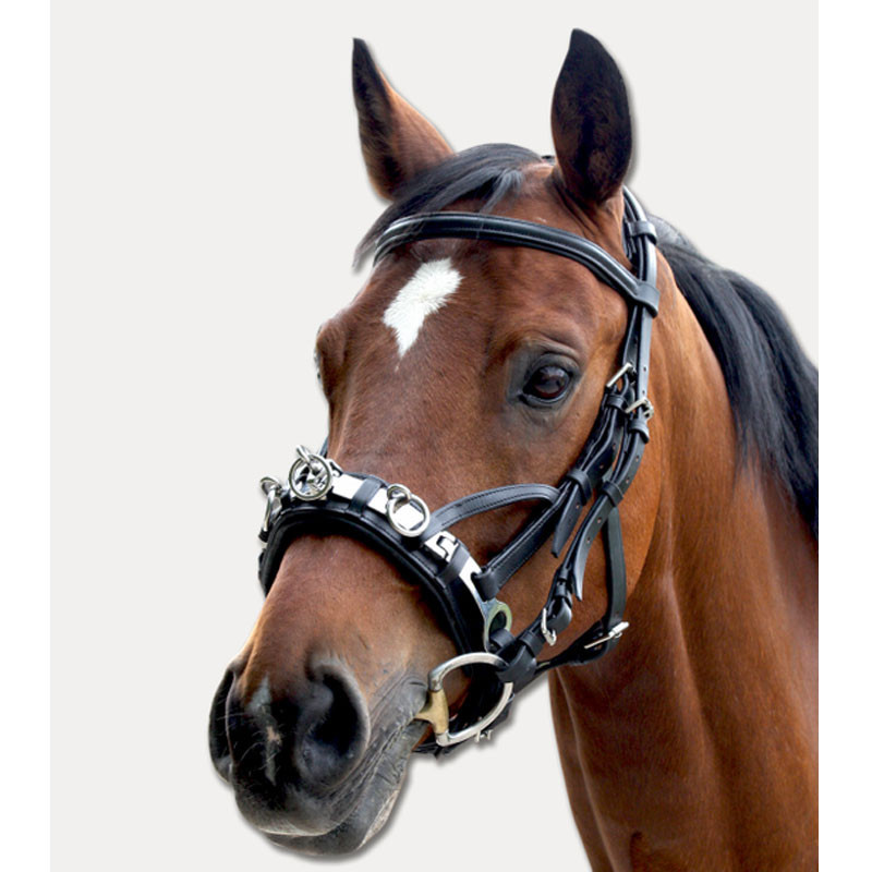 Caveçon en cuir Waldhausen - Equipement cheval