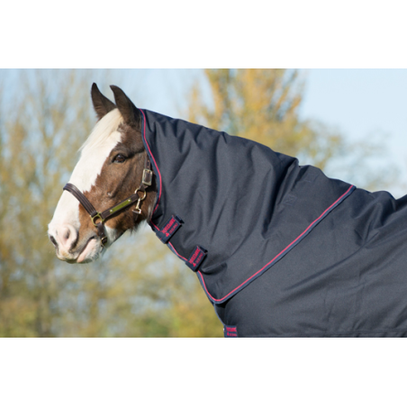 Couvre-cou cheval Amigo® Bravo 12 XL 0g Horseware