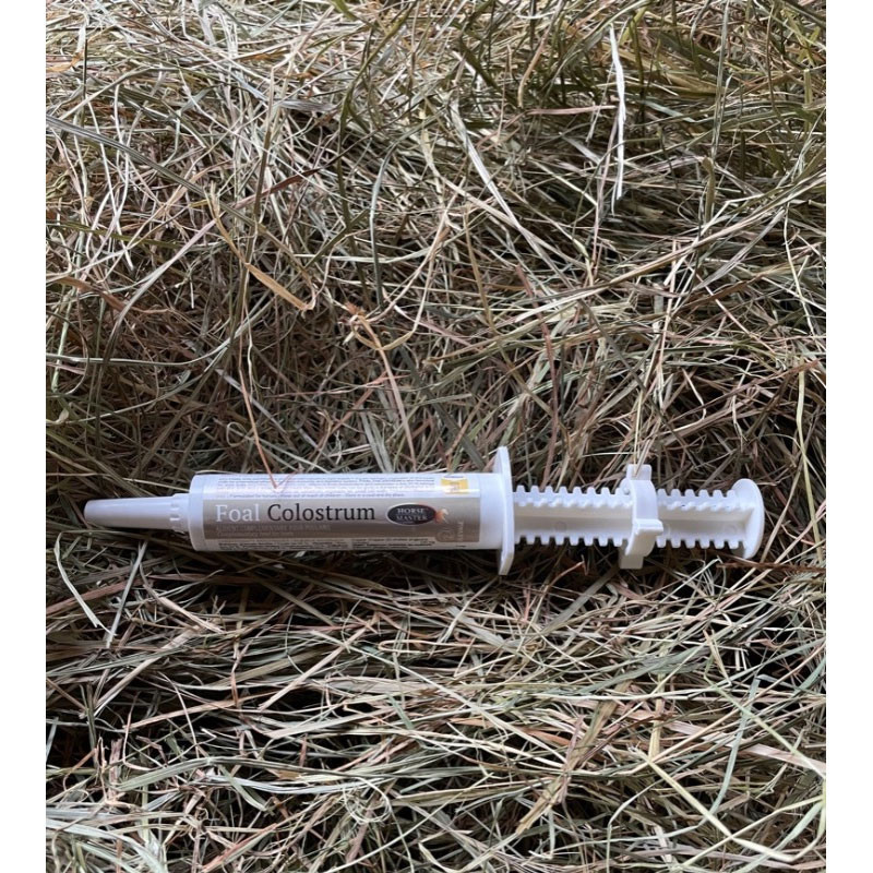 Foal colostrum Horse Master - complément alimentaire
