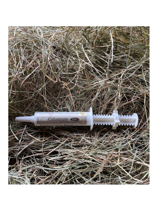 Foal colostrum Horse Master - complément alimentaire