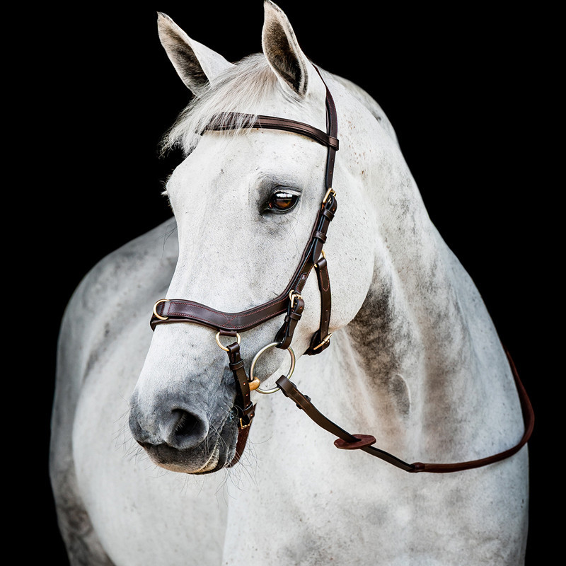 Bridon Micklem 2 multibride Horseware - Briderie cheval