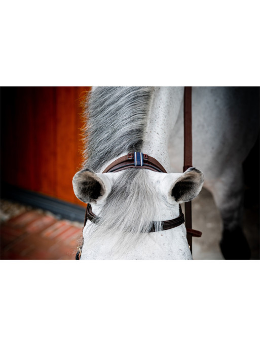 Bridon Micklem 2 multibride Horseware - Briderie cheval