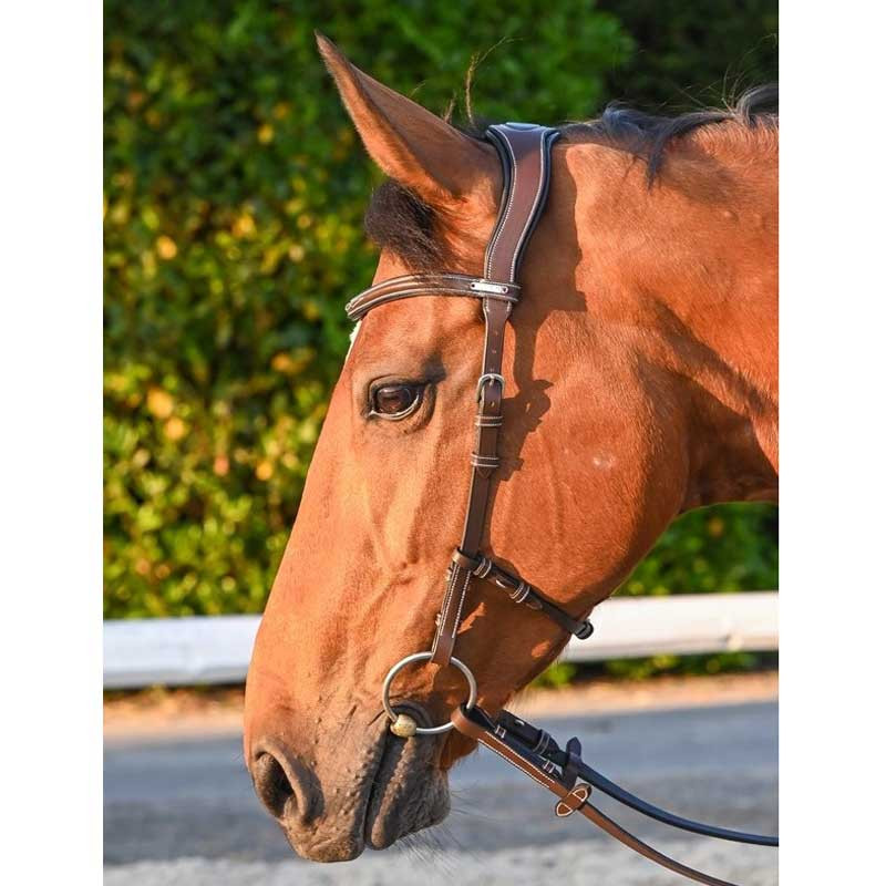 Bridon Liberty Collection One Jump'In - Briderie cheval