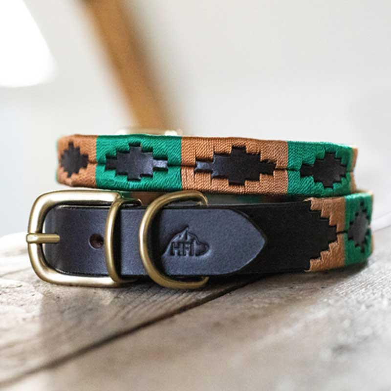 Collier pour chien Polo HFI - Accessoire chien