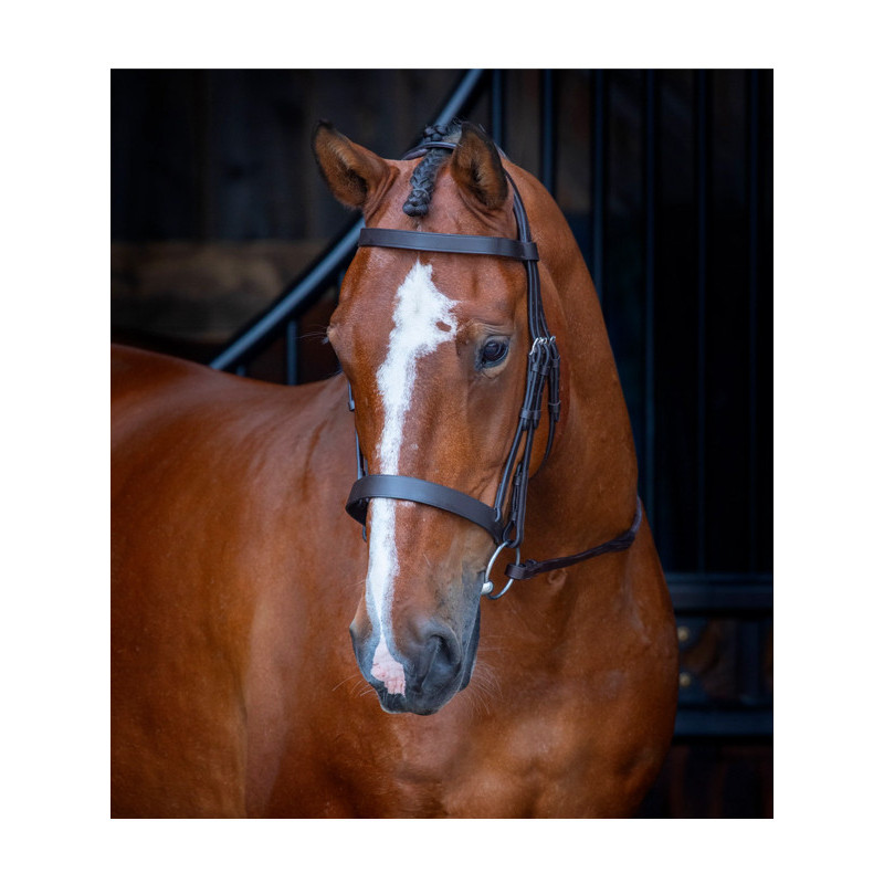 Bridon cuir plat anatomique - Equipement cheval