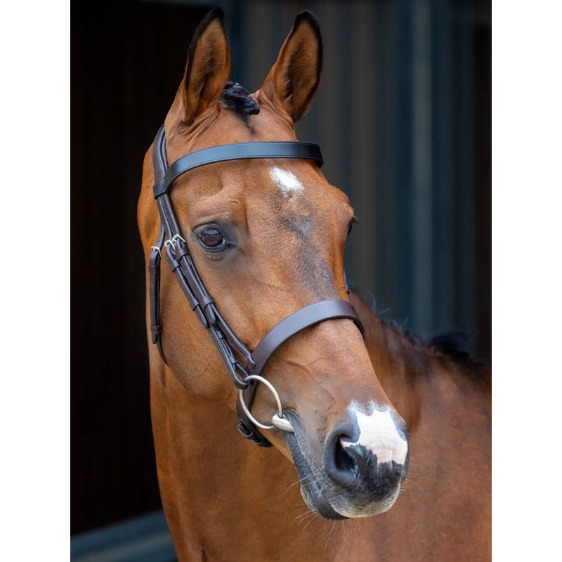 Briderie Hunter - Equipement du cheval