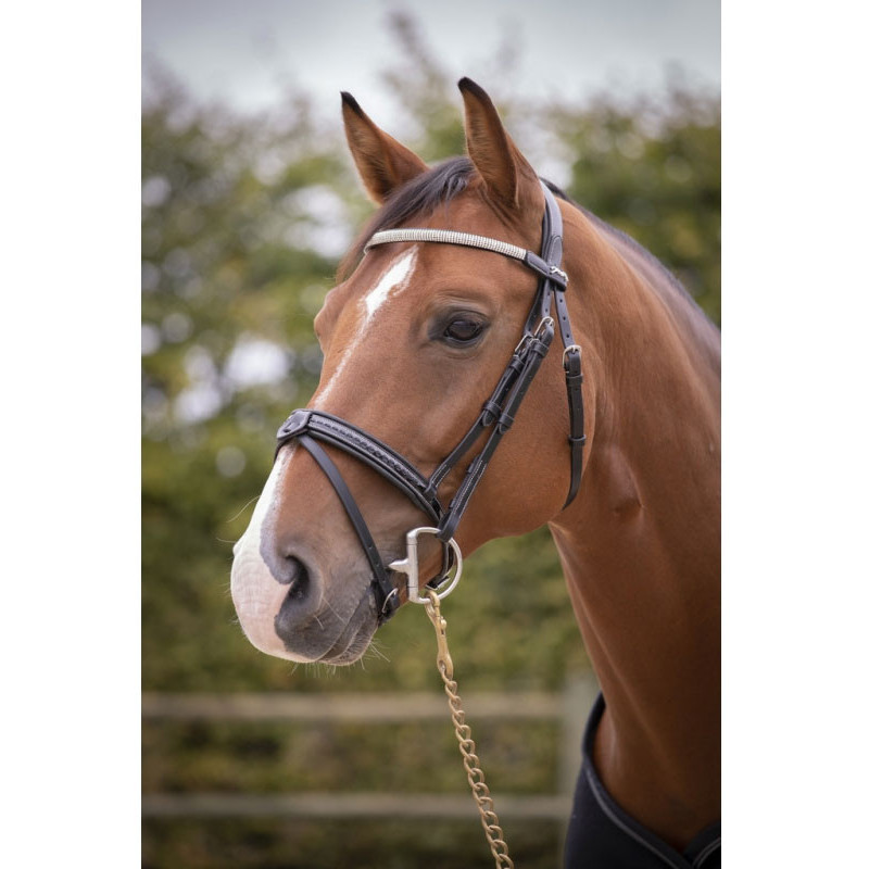 Bridon Harmonie Pénélope - briderie cheval