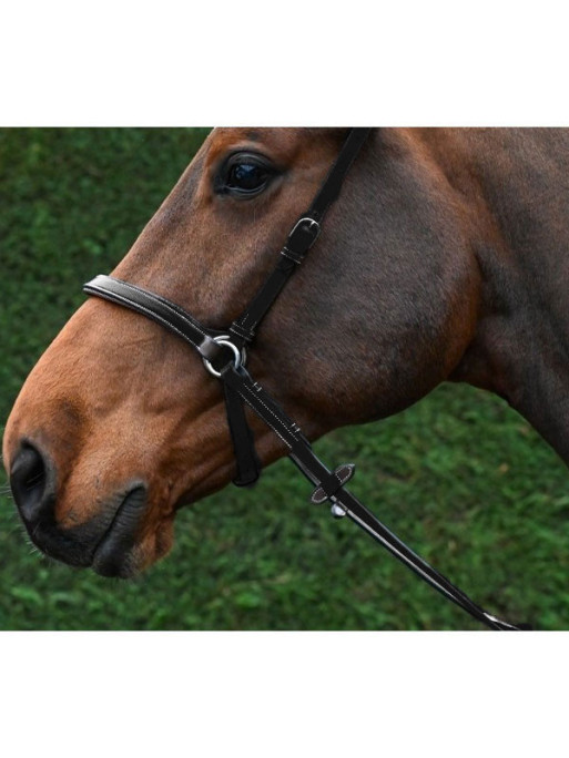 Bridon Bitless Collection One 2024 Jump'In